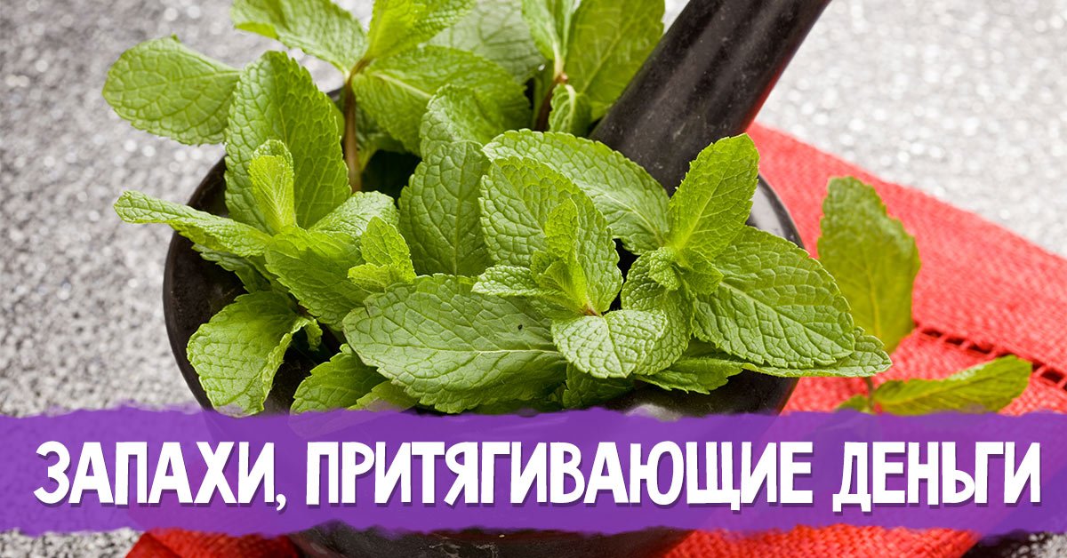 Запахи для дома: какие ароматы привлекают богатство